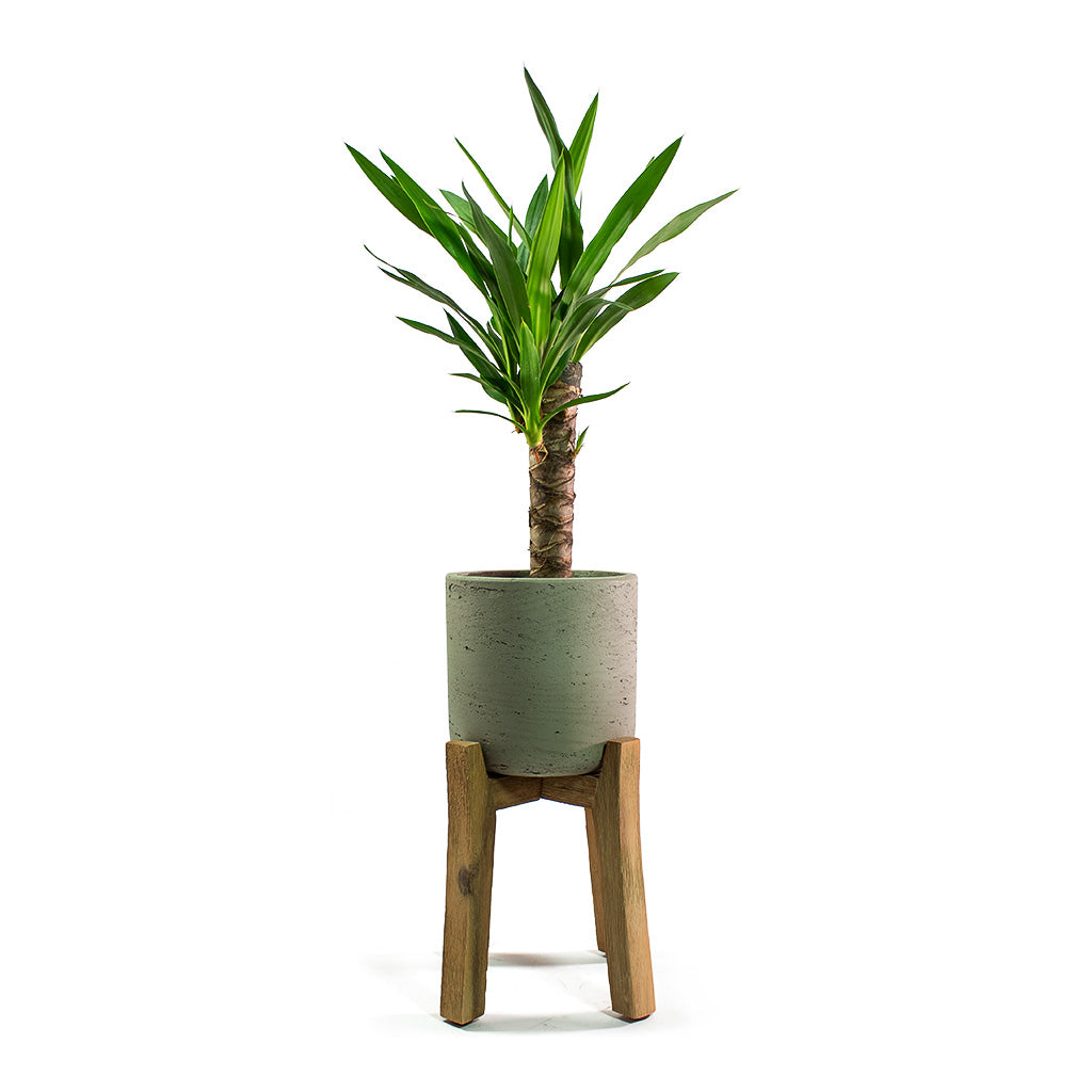 Charlie Plant Pot - Tall Stand - Grey Washed | Hortology - HORTOLOGY