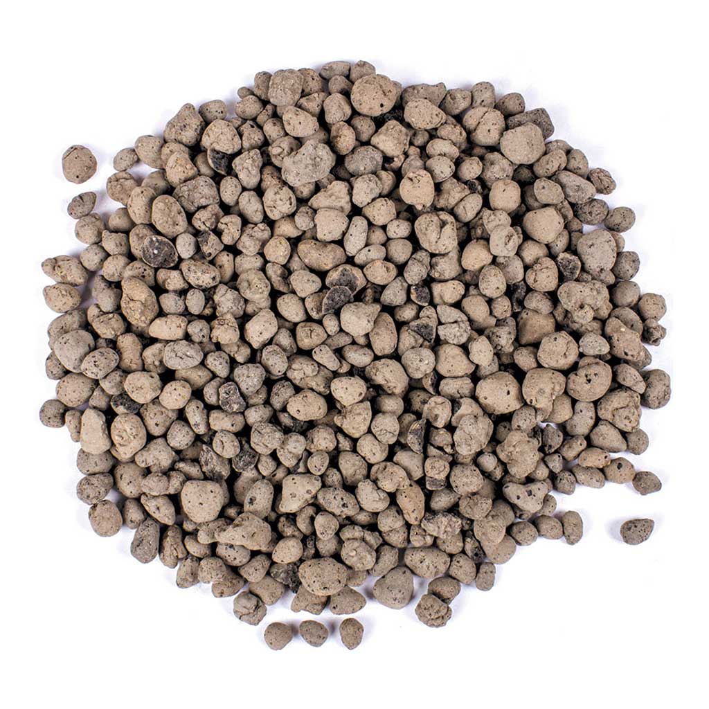 Hydrogranule Clay Pebbles 8-16mm - Houseplant Care | Hortology - HORTOLOGY
